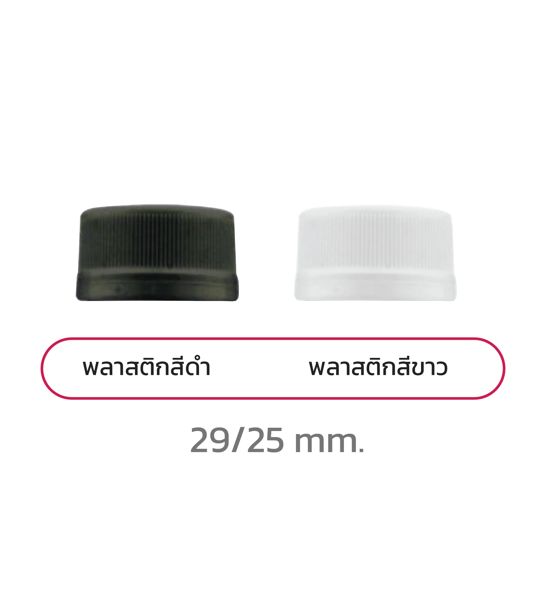 29/25mm. Cap